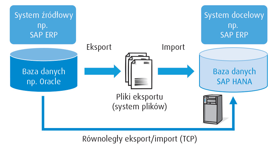 Techniczne aspekty migracji na platformę SAP HANA | All for One Poland