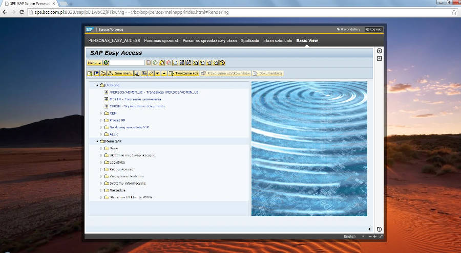 SAP Fiori i SAP Screen Personas – efektywne, intuicyjne, estetyczne ...