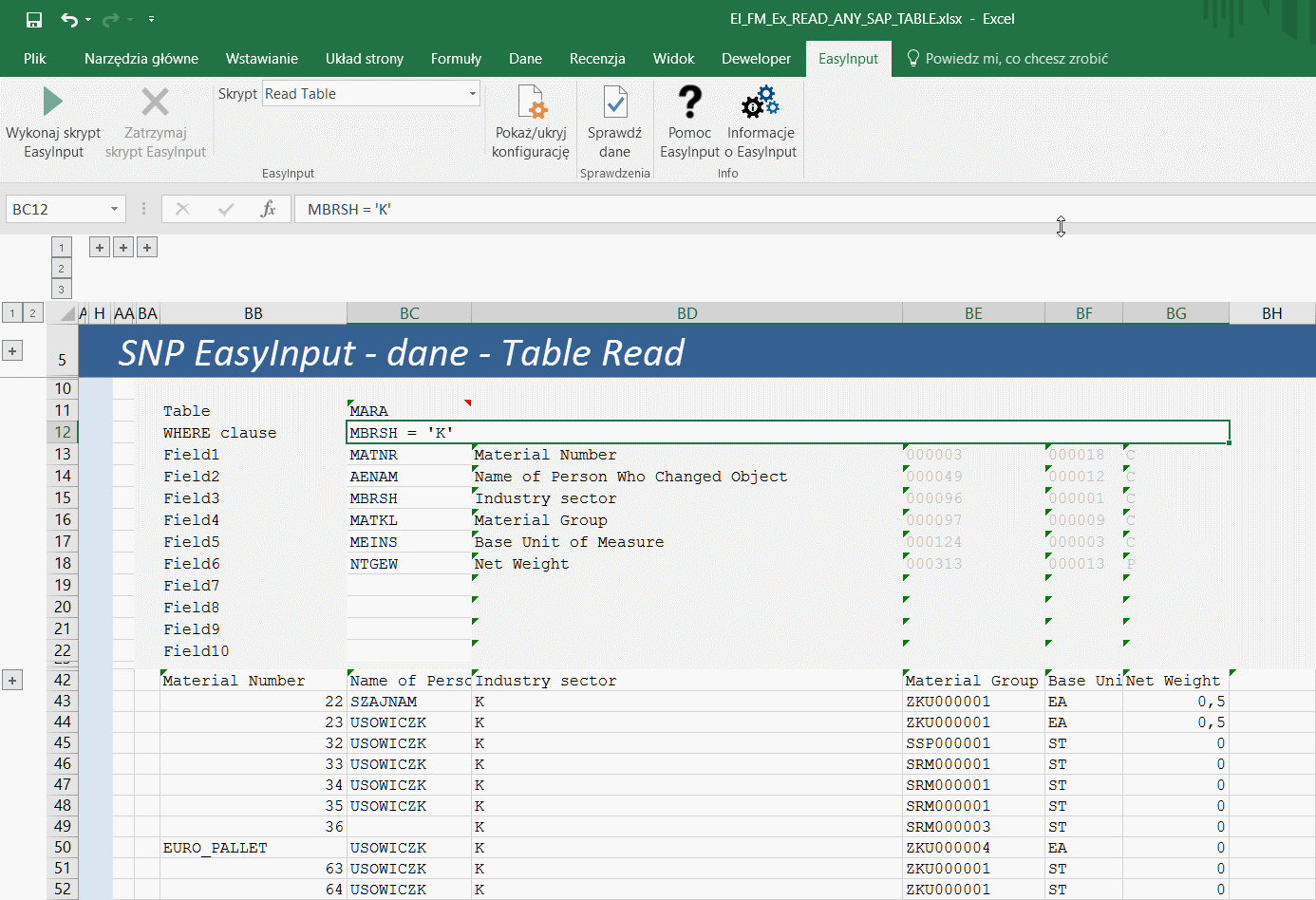 Integracja SAP i MS Excel | EasyInput | All for One Poland