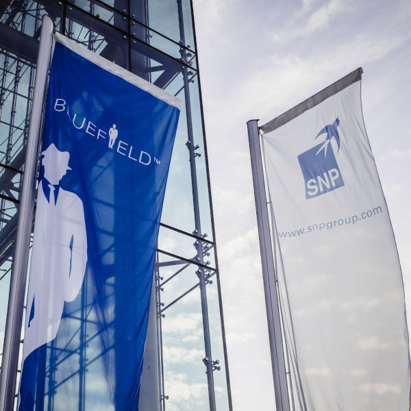 SNP Group: Migration to S/4HANA