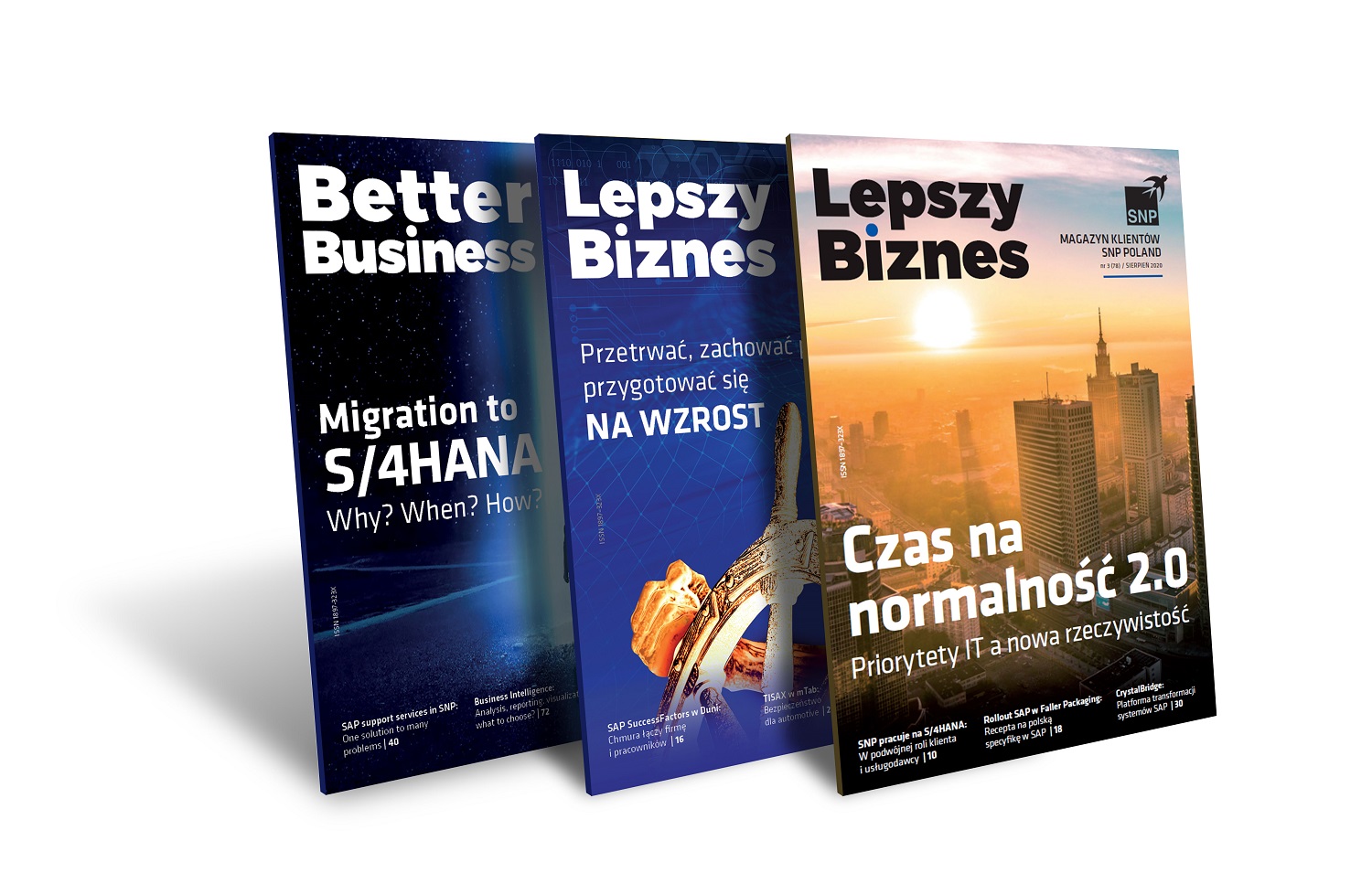 Log aplikacji w SAP | All for One Poland